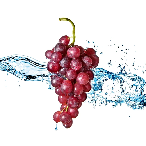 RED GRAPE – Colette Group